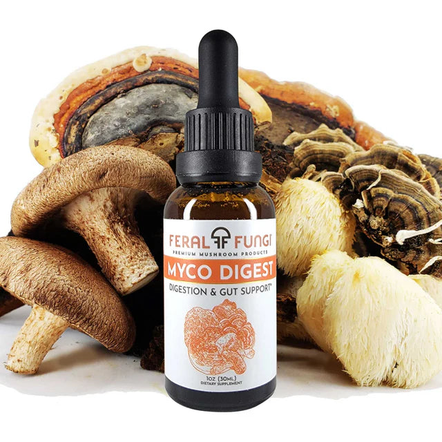 Myco Digest Mushroom Extracts — Vitality Nutrition