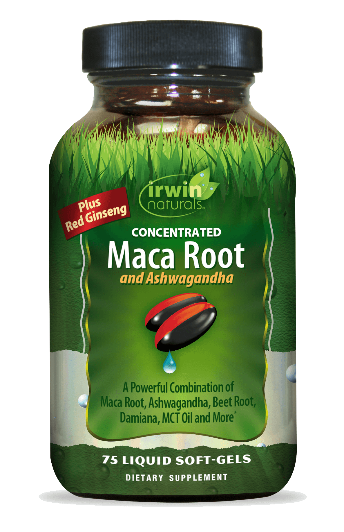 Maca Root and Ashwagandha — Vitality Nutrition